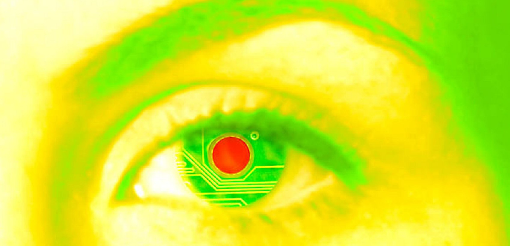 Psoriasis and Psoriatic Arthritis Alliance (PAPAA)